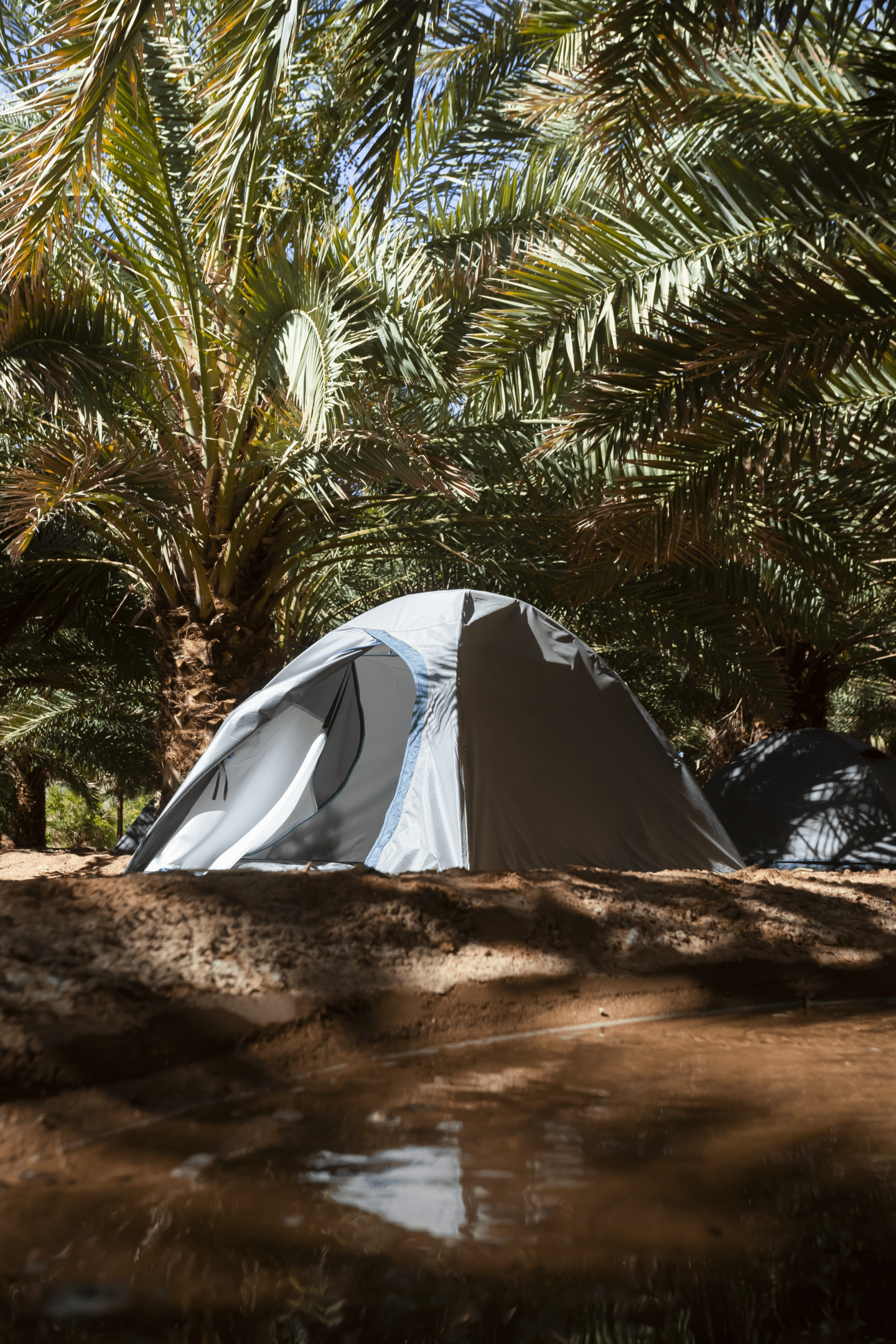 Camping Area at Pangaea Center| AlUla - Pangaea Club Accommodation